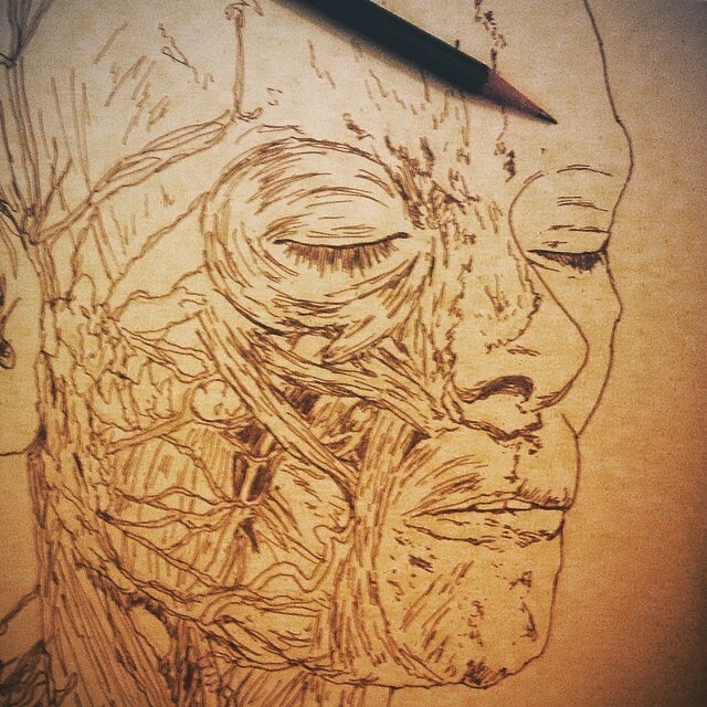 Jonathan Sabella - Anatomy Sketchbook and Medical Art