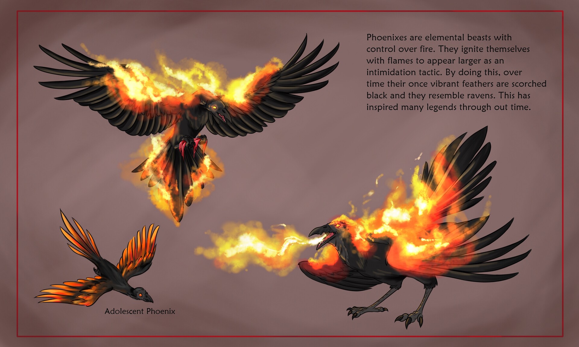 Raven Lente - Phoenix