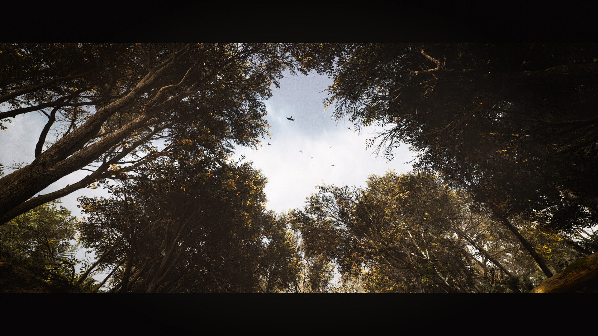 Pasquale Scionti - Ingame new Quixel trees Unreal Engine 5 Lumen Nanite