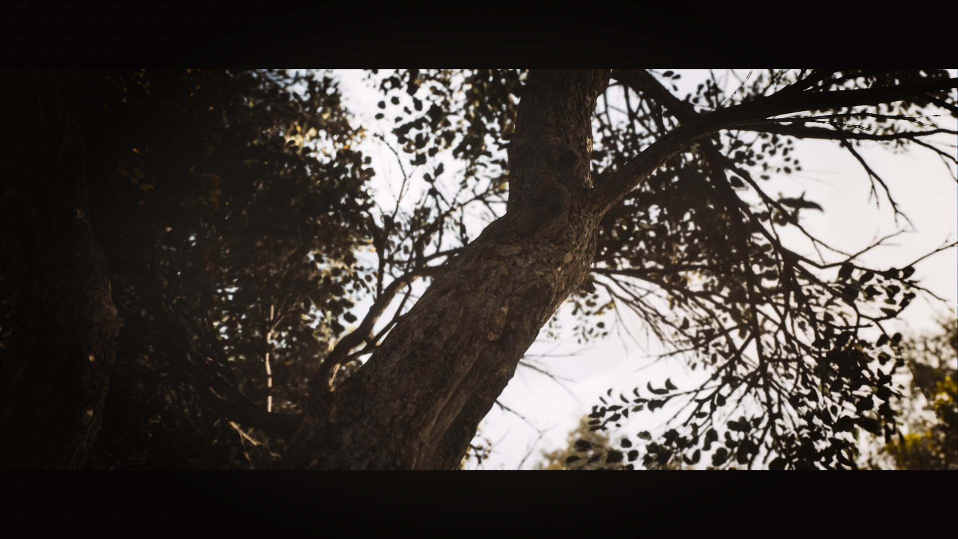 Pasquale Scionti - Ingame new Quixel trees Unreal Engine 5 Lumen Nanite