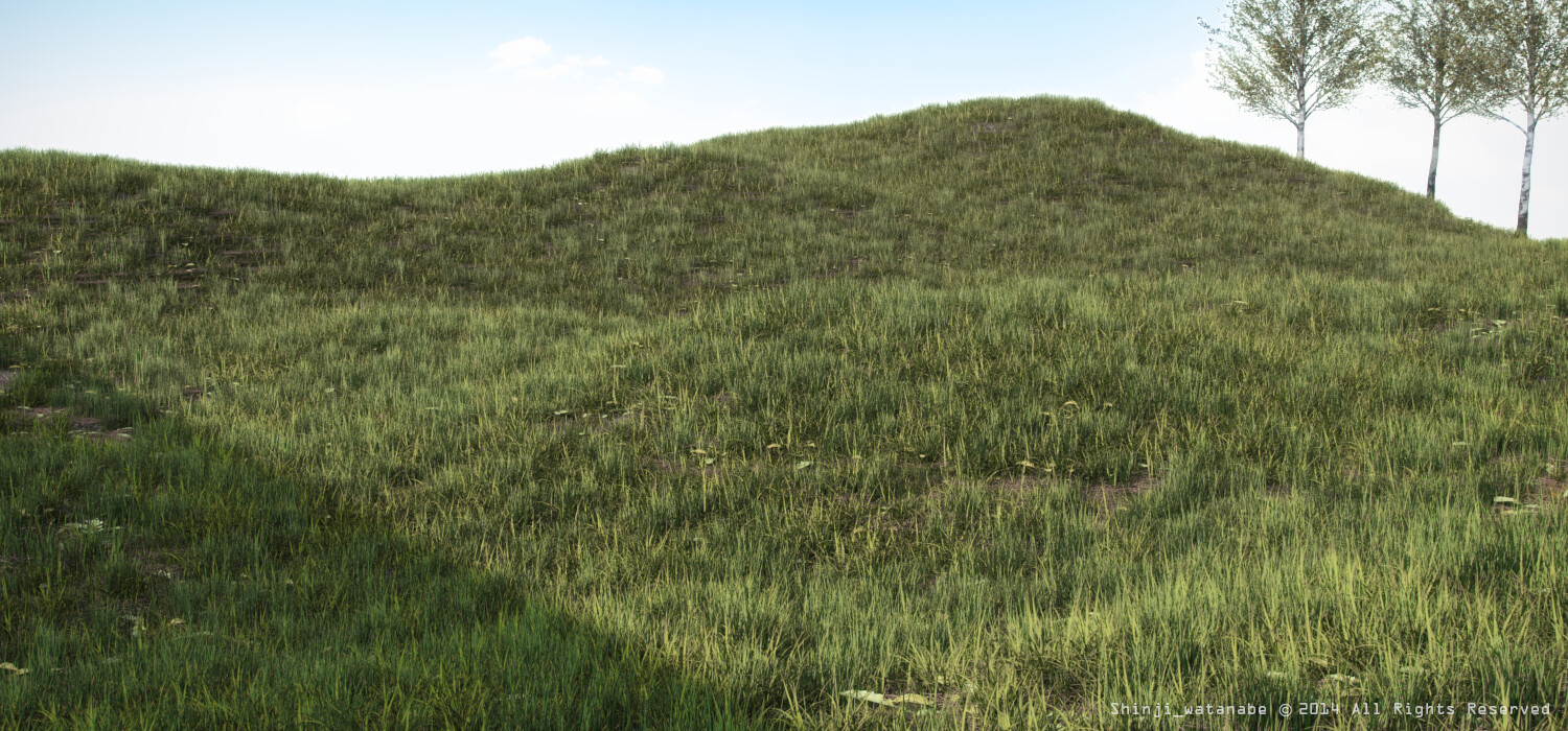 ArtStation - Lawn open space