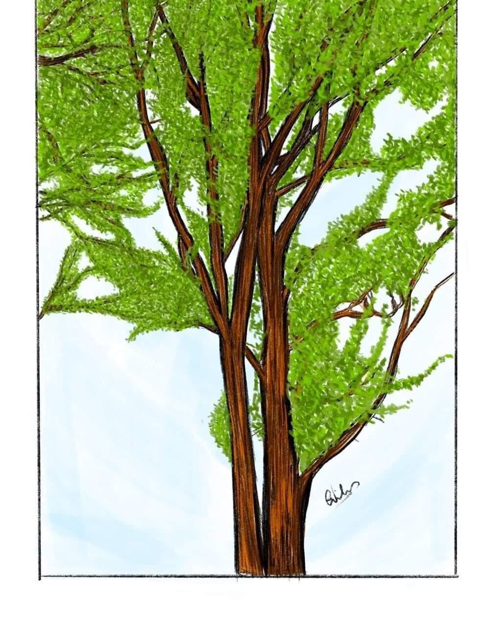 ArtStation - Stipling Tree