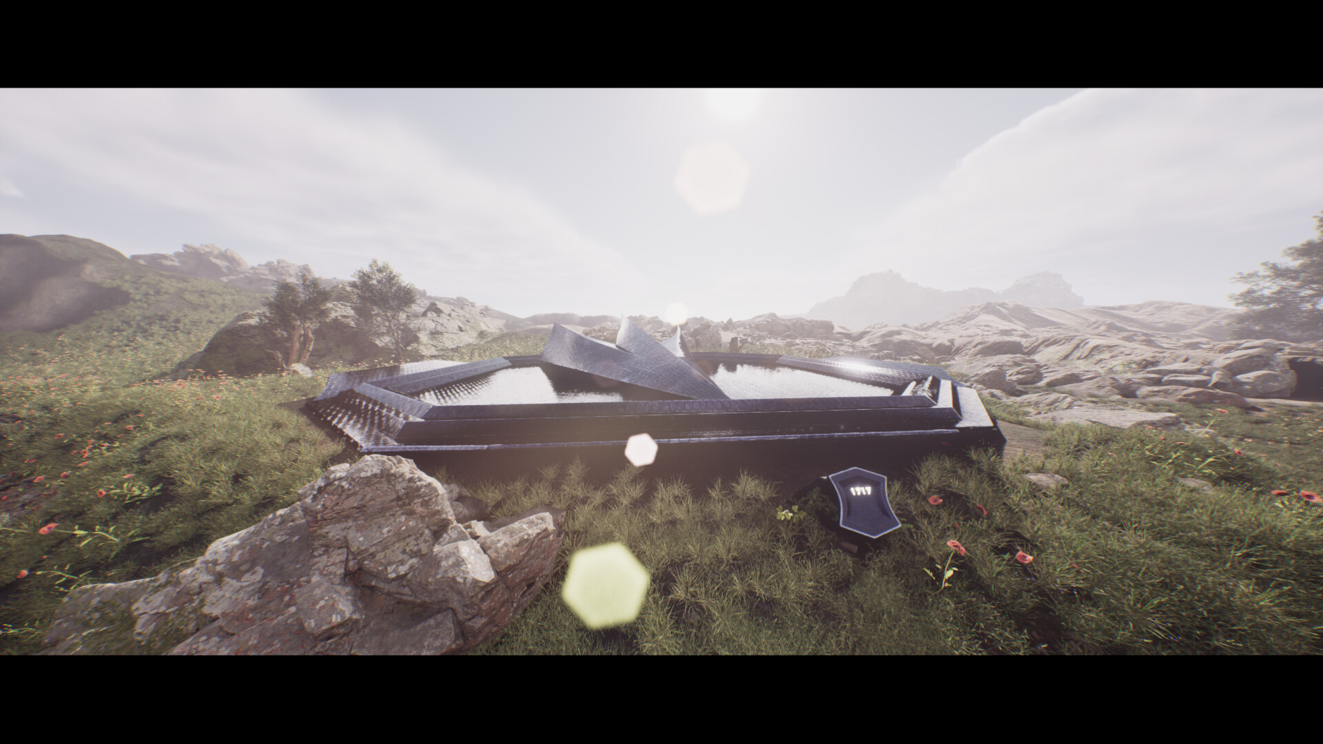 Ruben Roldan - The... Forest?