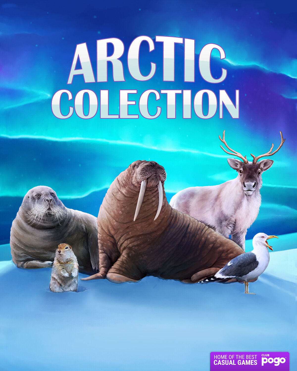 ArtStation - POGO ARTIC COLECTION
