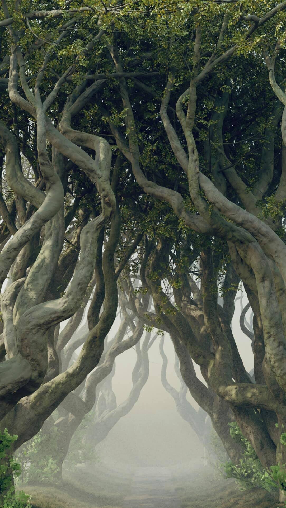 ArtStation - Foggy Path