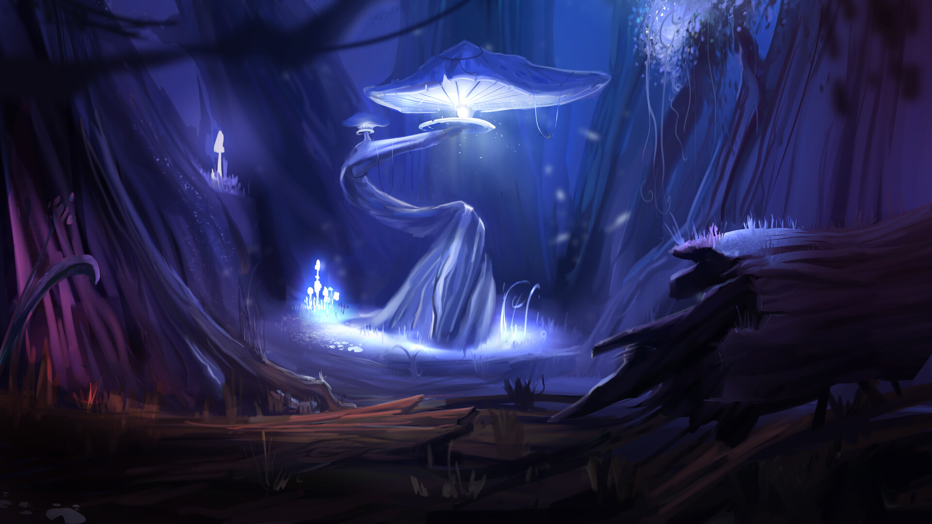 ArtStation - Ori Study
