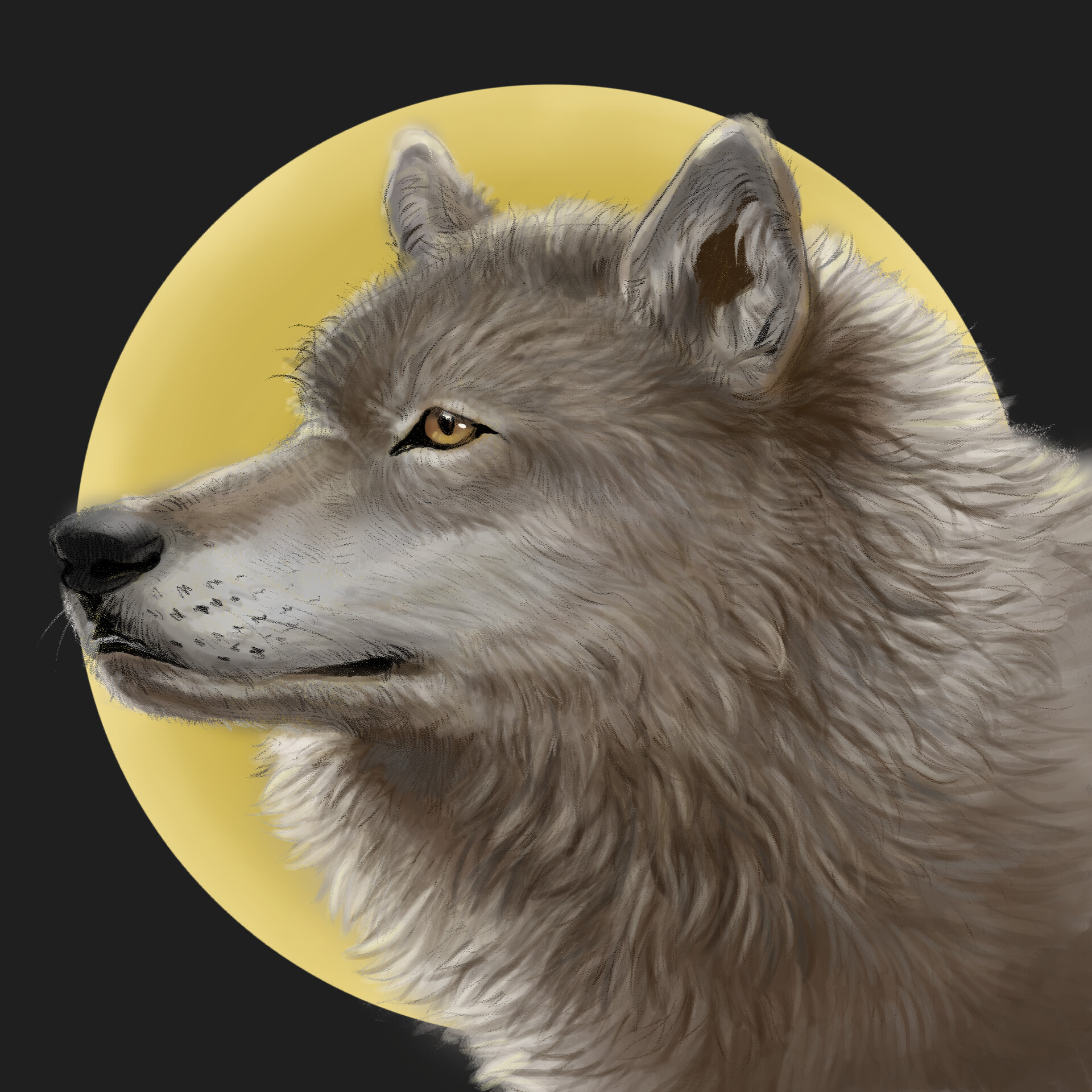 ArtStation - wolf headshot