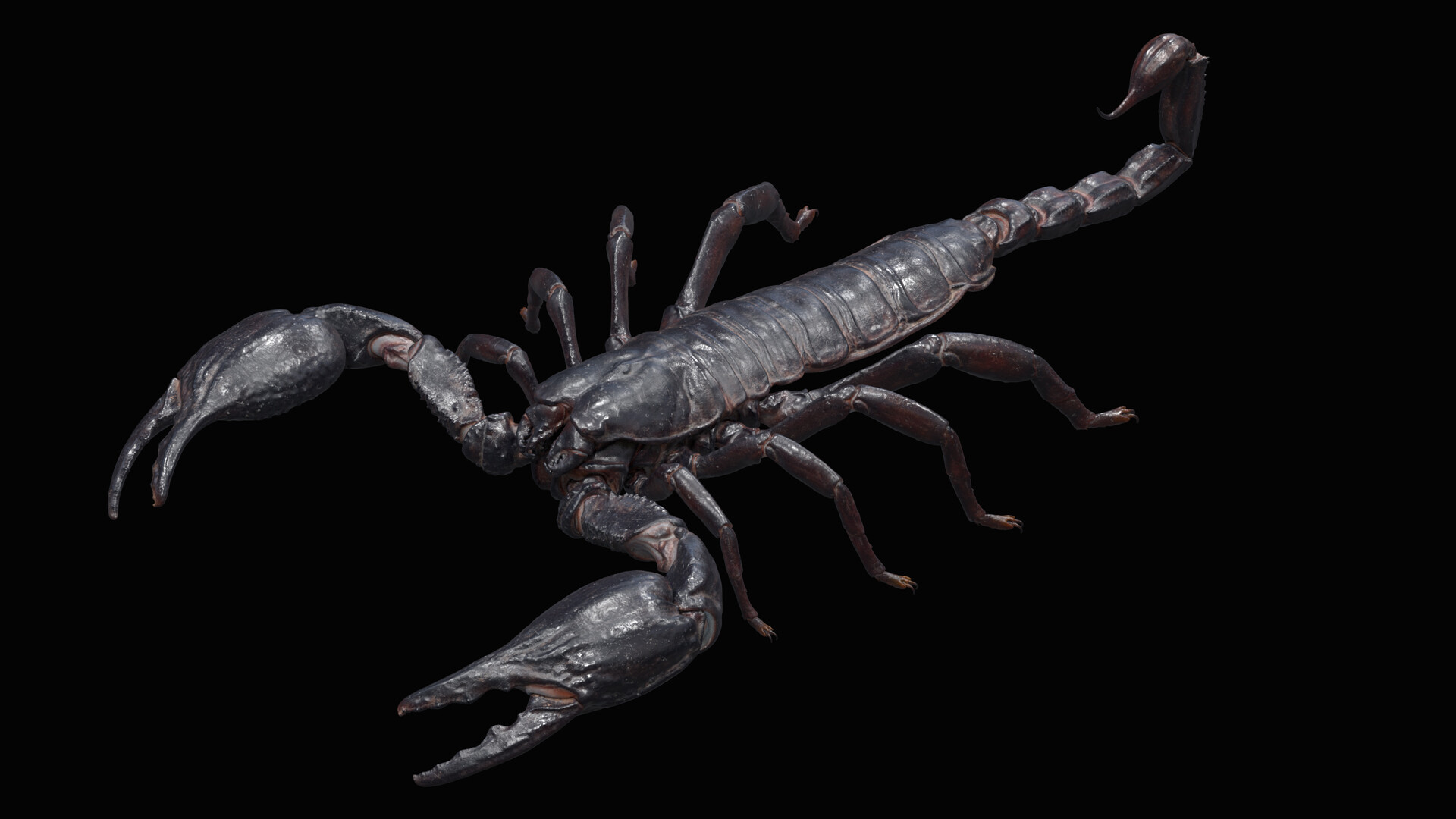 ArtStation - scorpion