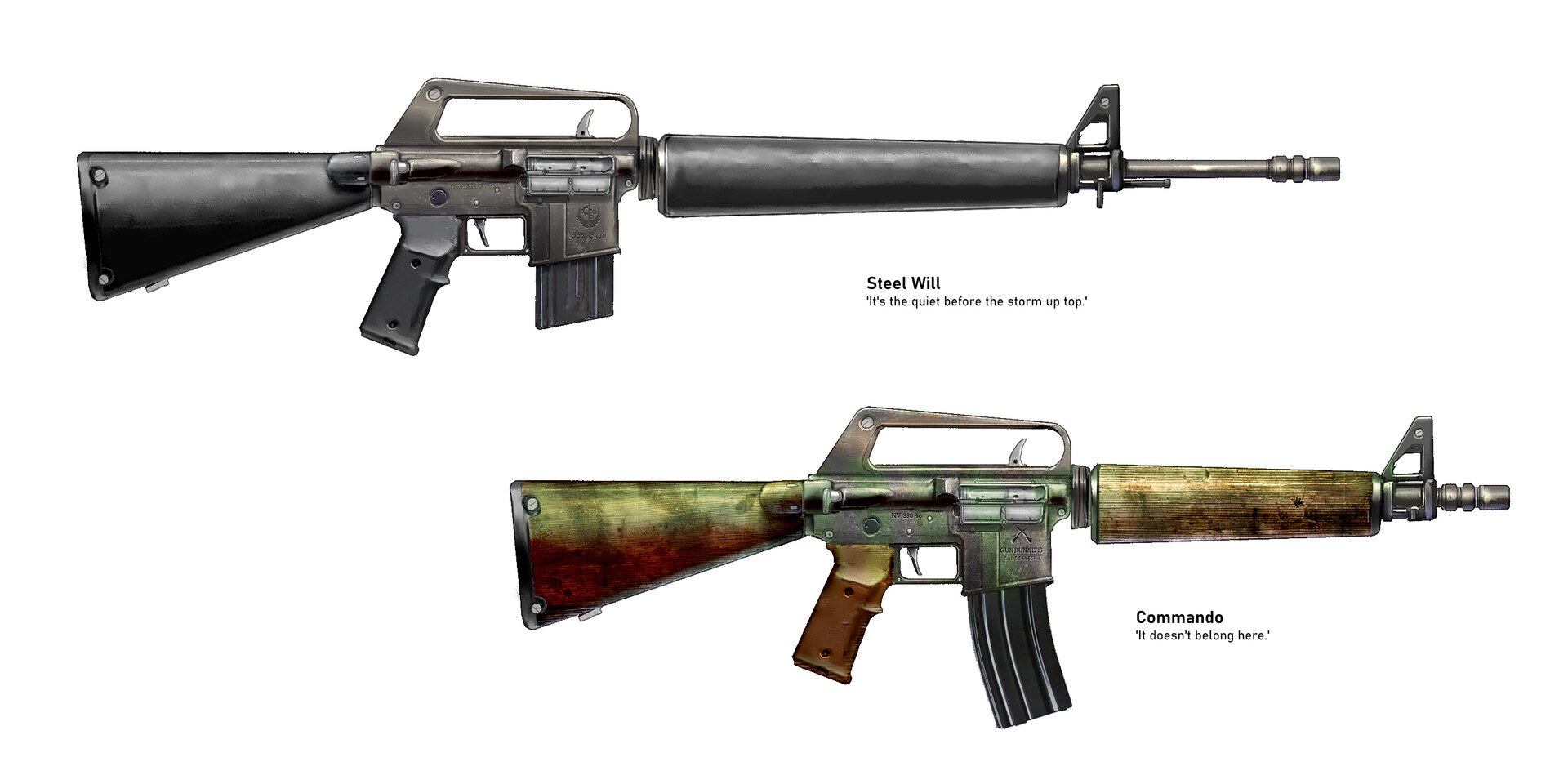 AST21 - FNV Service Rifle fanart