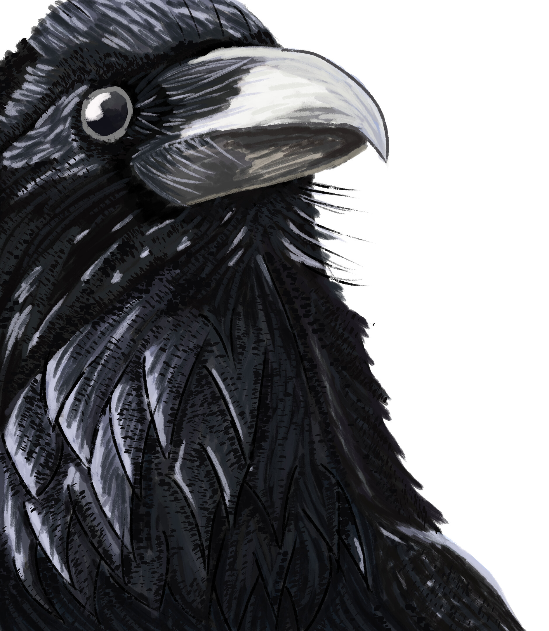 ArtStation - The Crow