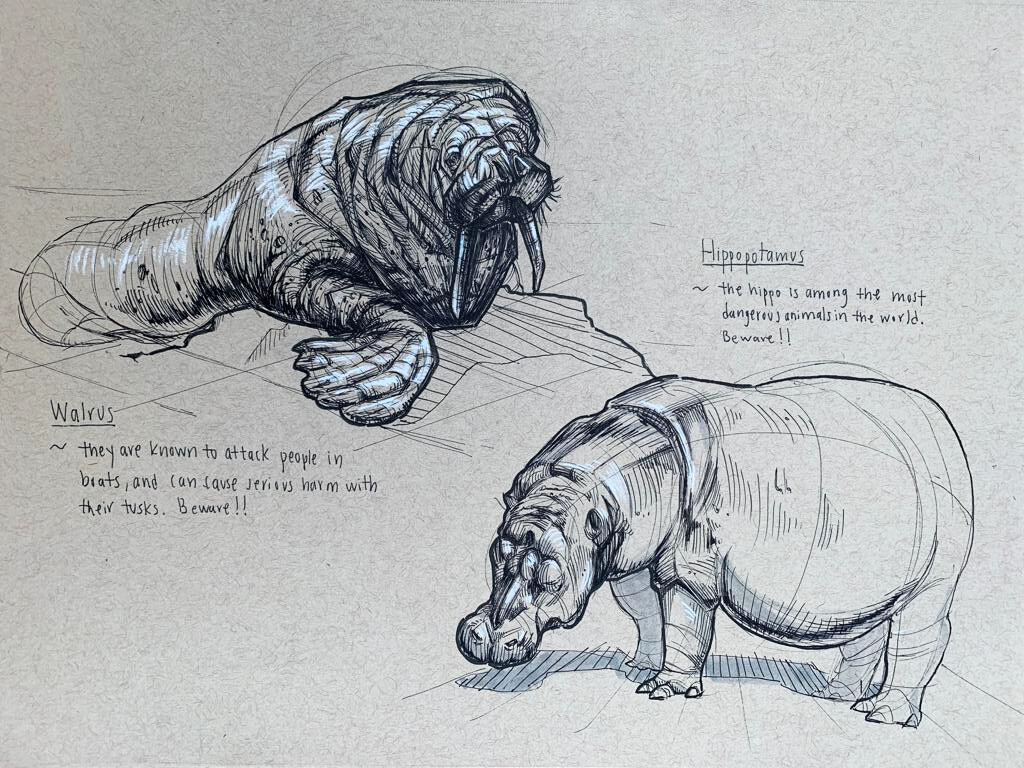 ArtStation - Sketchbook Animal Drawings