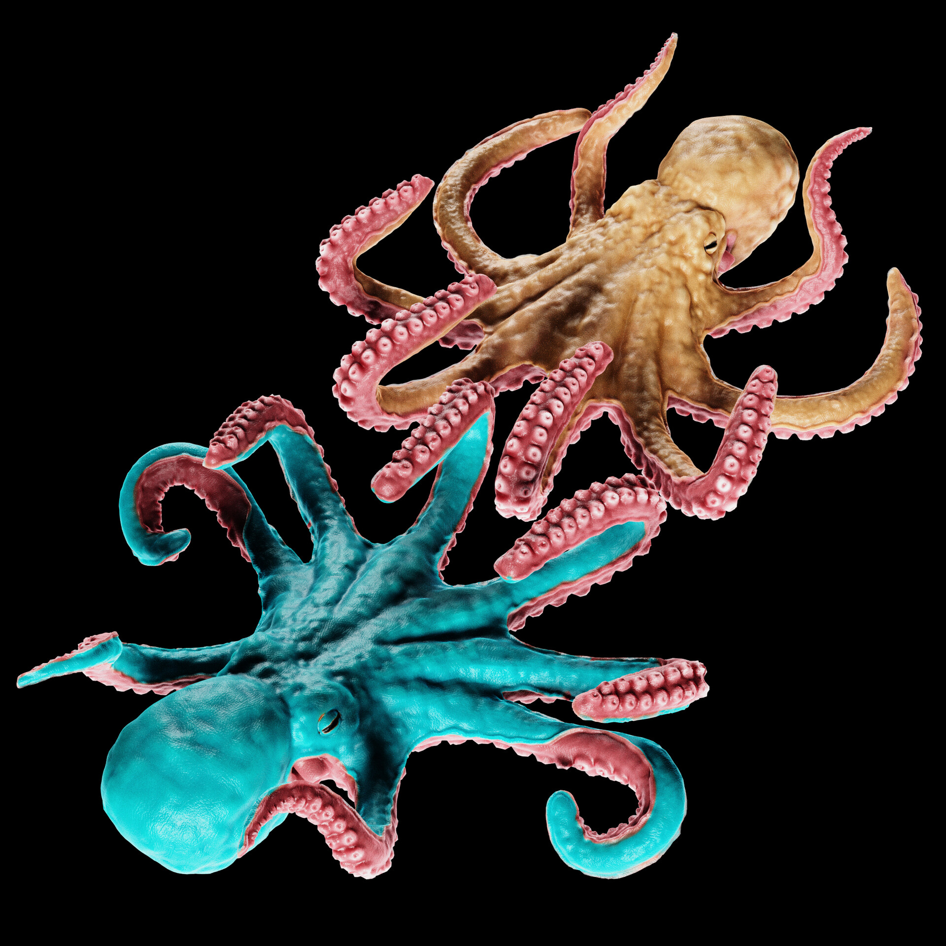 ArtStation - octopus