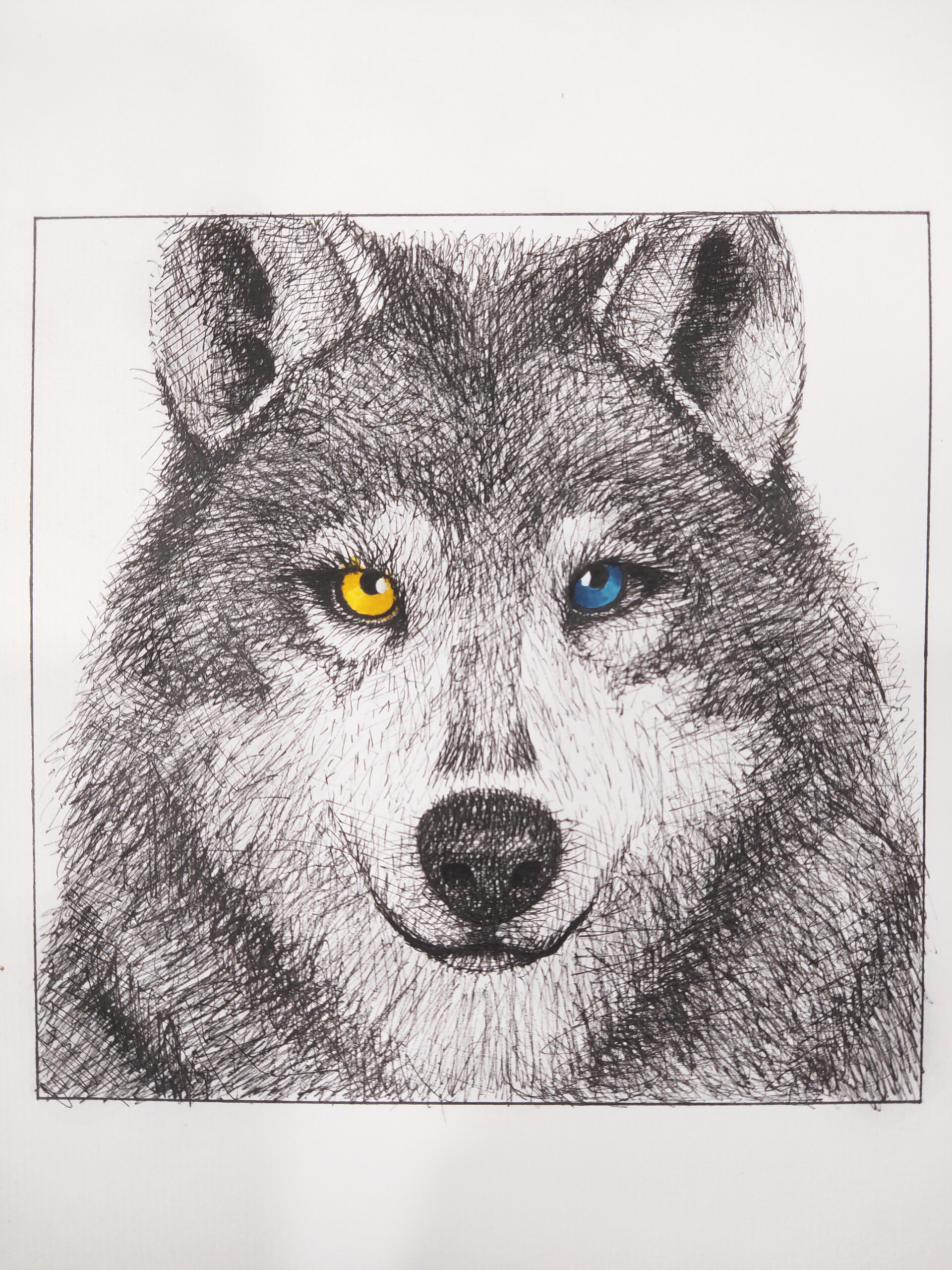 ArtStation - The Book of Wolf