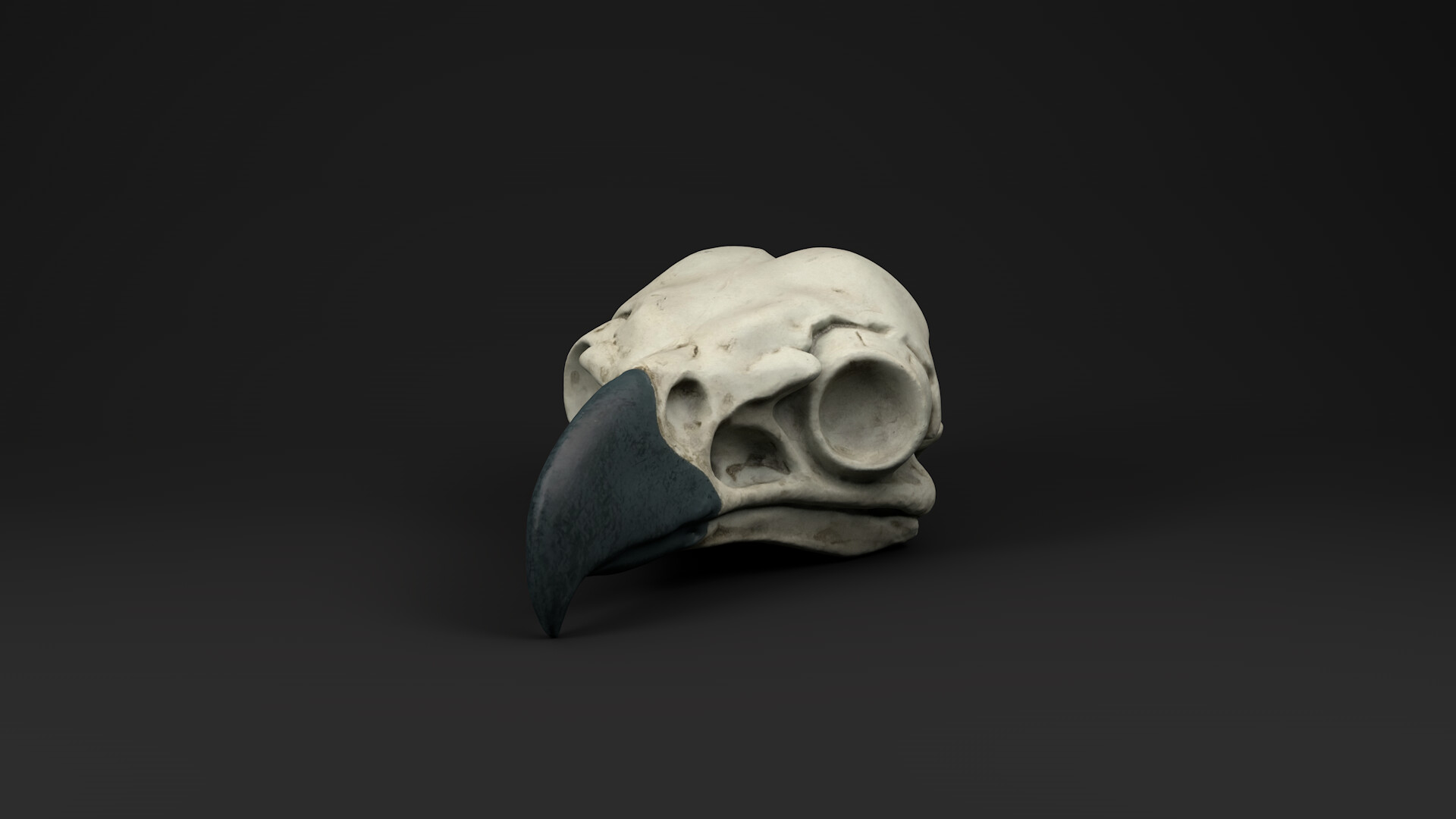 ArtStation - Bird Skull (Photogrammetry)