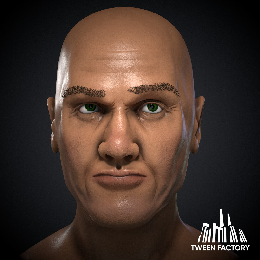 ArtStation - Sculpt — Bald man