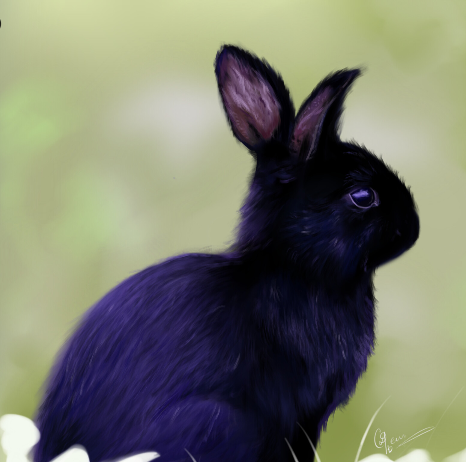 ArtStation - Black Rabbit