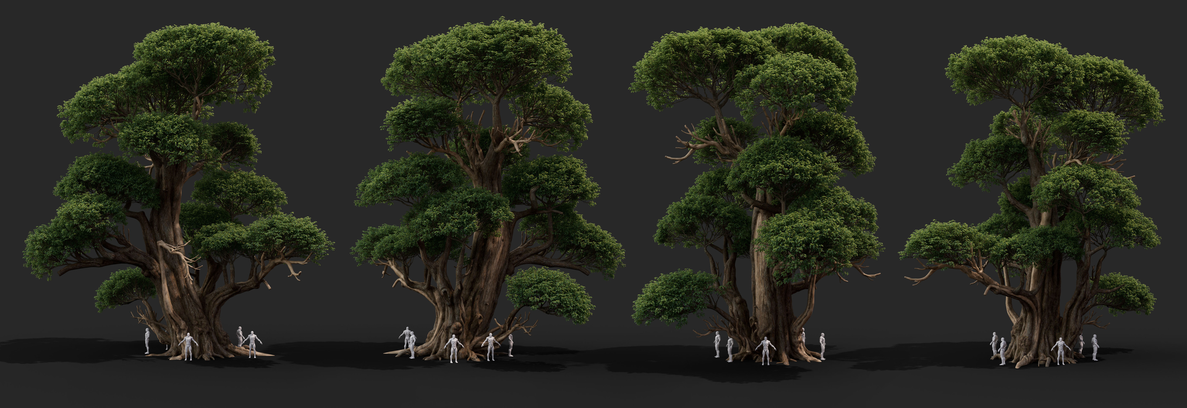 cg-jpg.jpg (3840×1320)