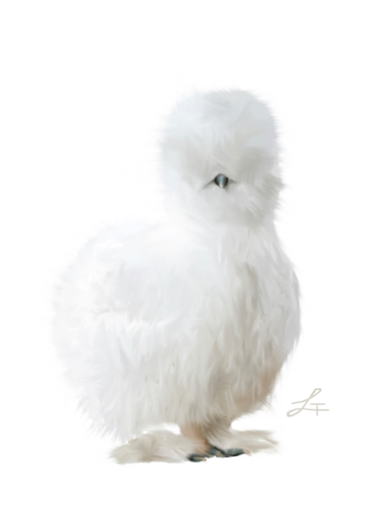 ArtStation - Chicken Fluff