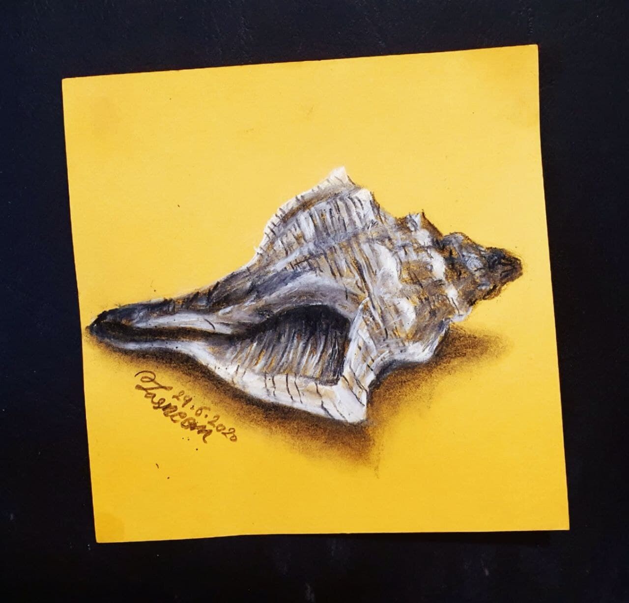 ArtStation - shell sketch with white coal