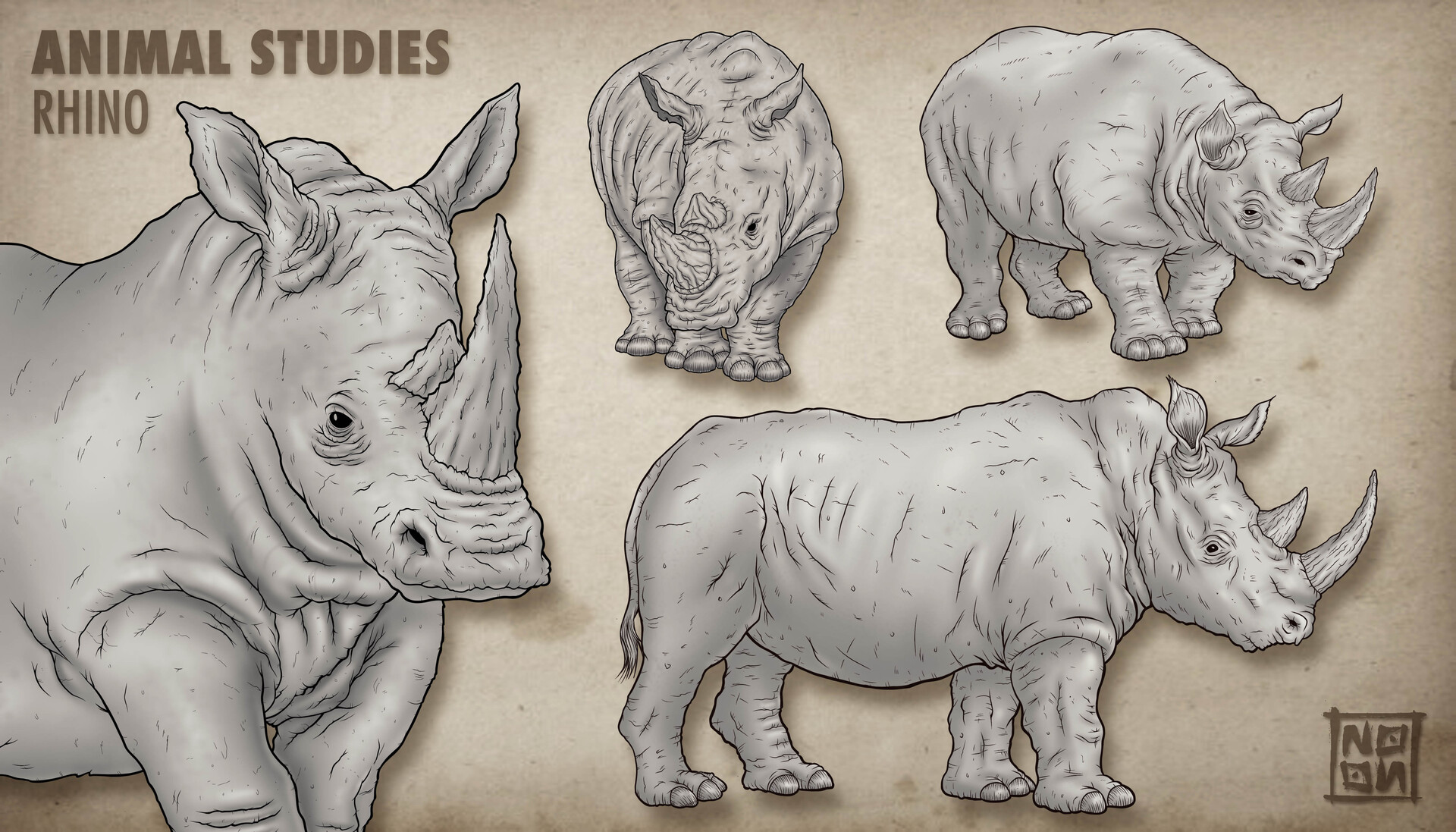 ArtStation - Animal Studies - Rhinos