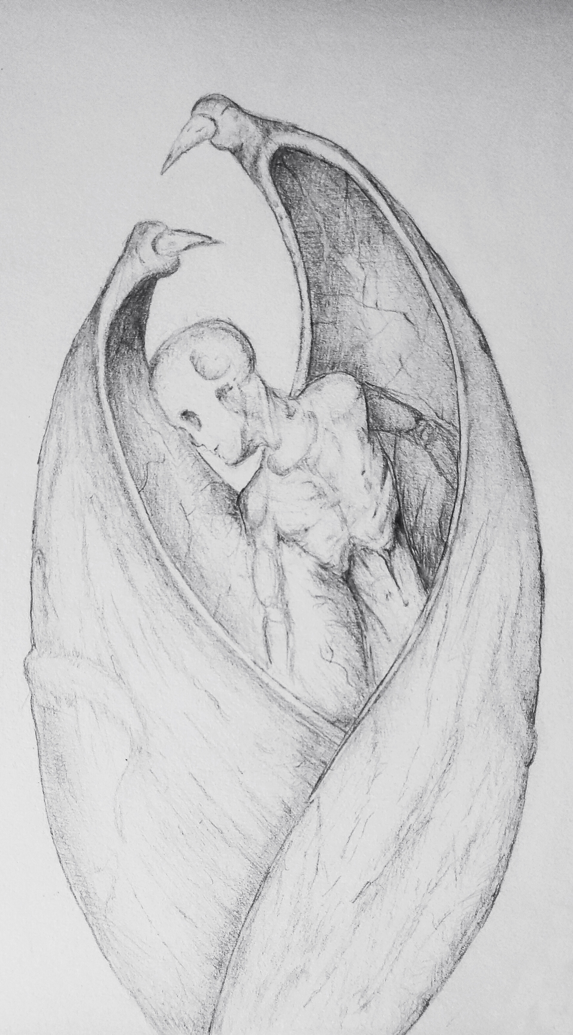 Dark Angel Drawings In Pencil