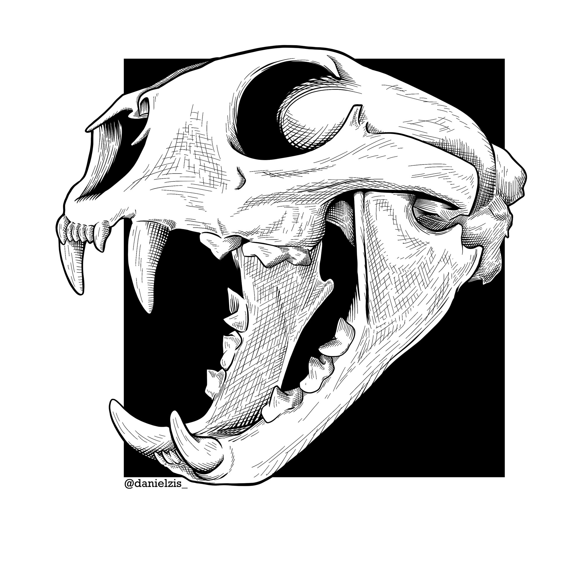 ArtStation - Cat Skull