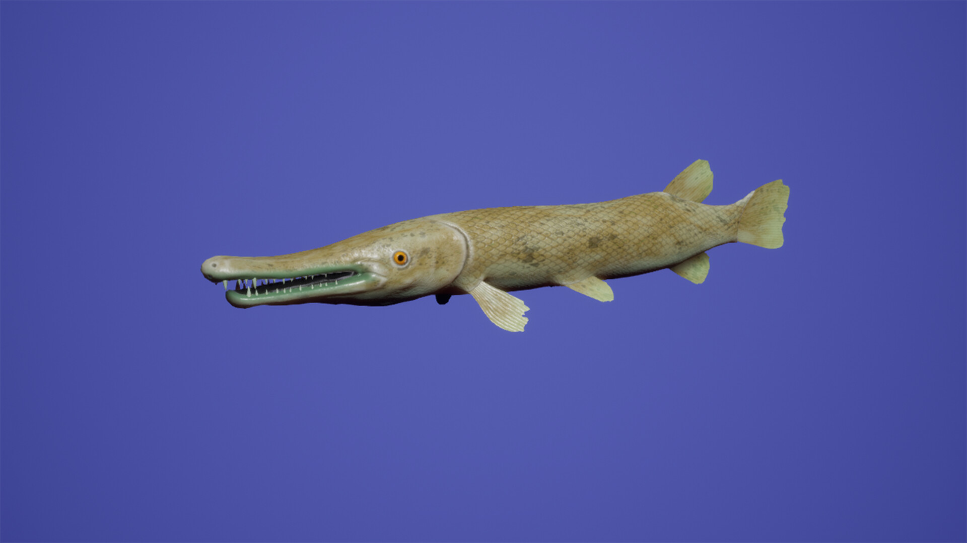 ArtStation - Alligator gar fish