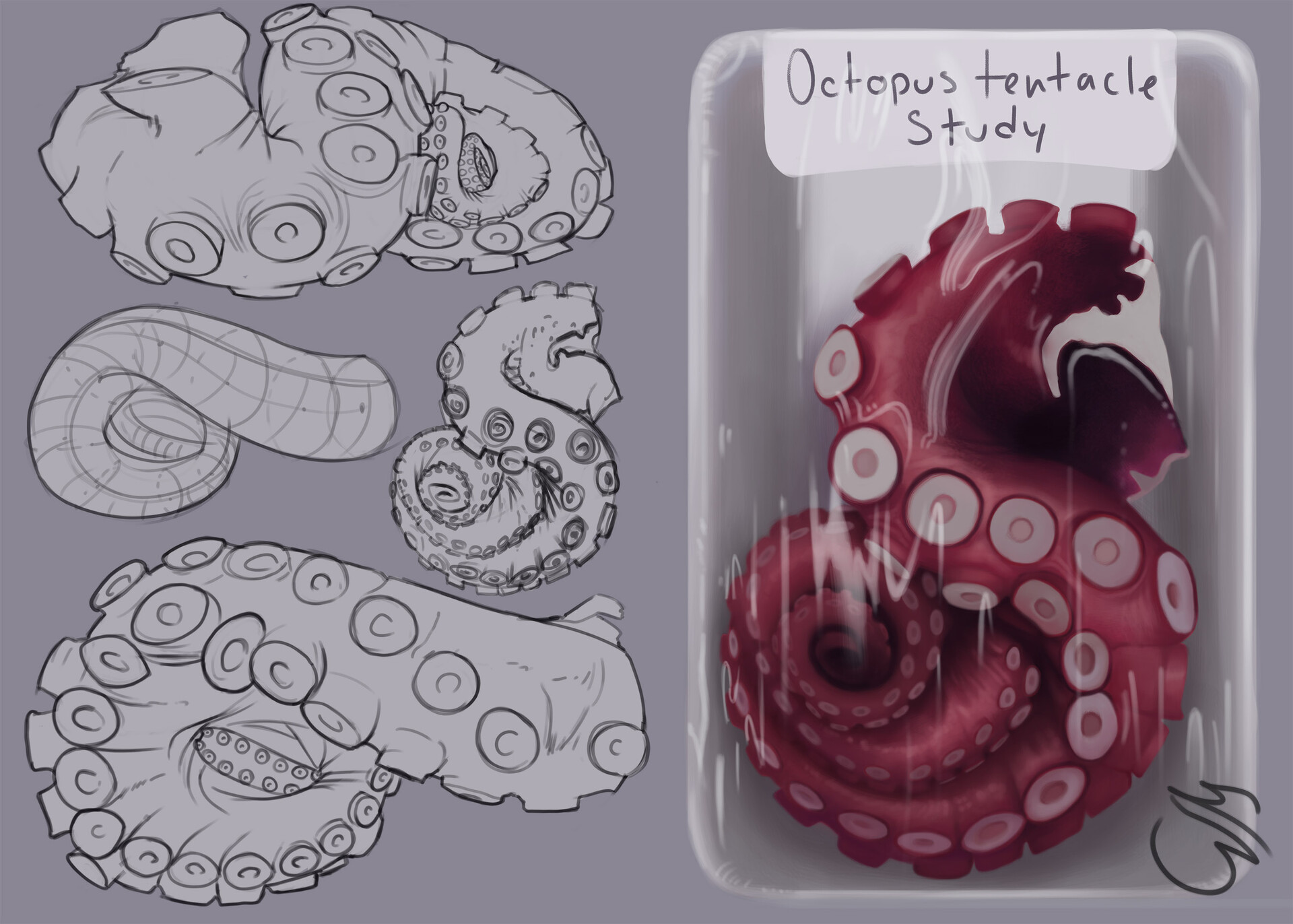 ArtStation - Octopus Tentacle study