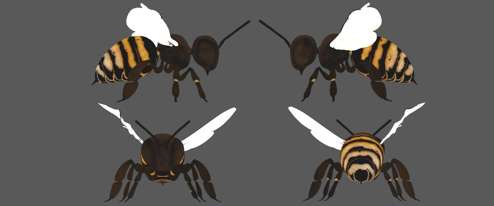 Nalini Bhasin - Honey Bee Texture