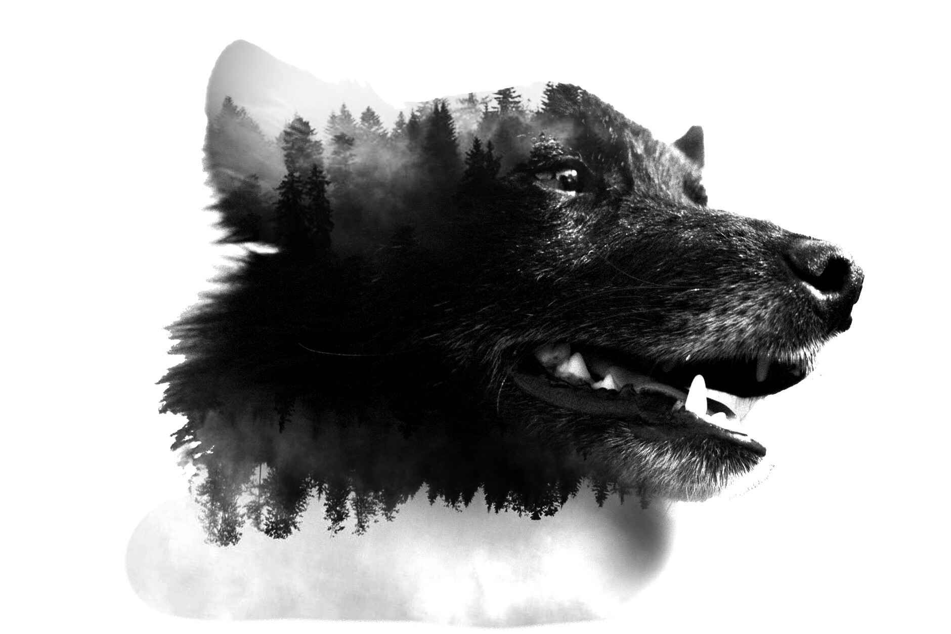 ArtStation - Double Exposure Photoshop with a Dog