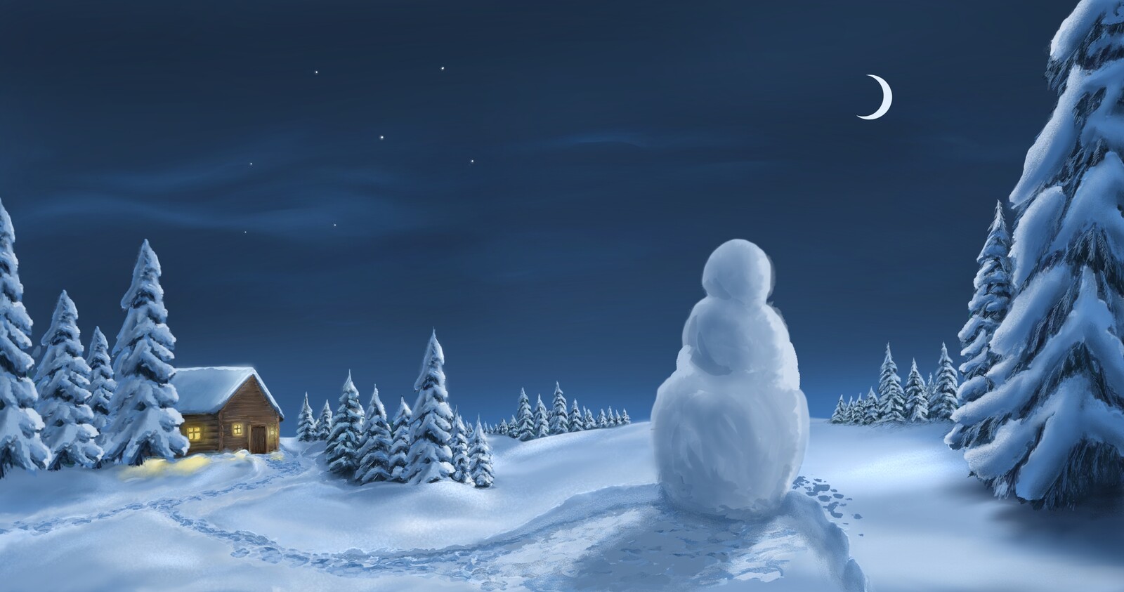 Steel Drake - Midnight after snowing