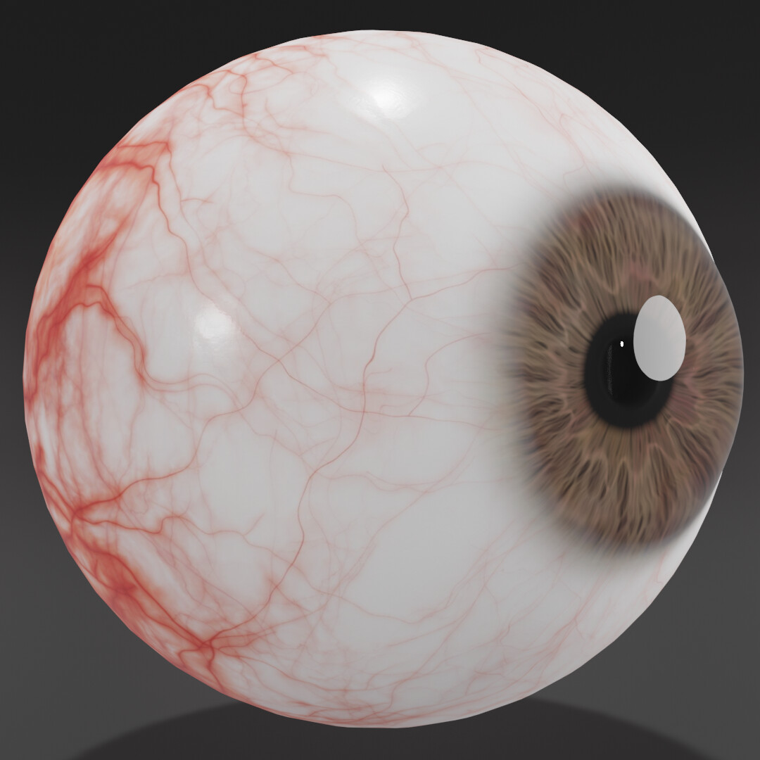 ArtStation - EYE STUDIO ANATOMY