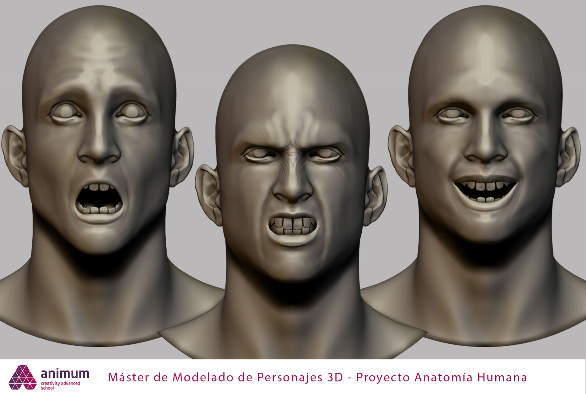Arkaitz Preciado - Anatomy Study / Estudio Anatómico
