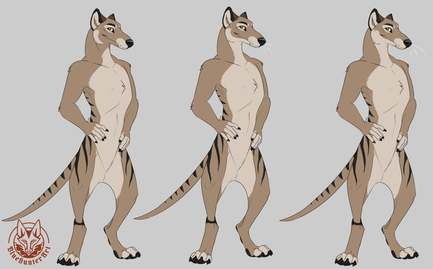 anthro kangaroo base