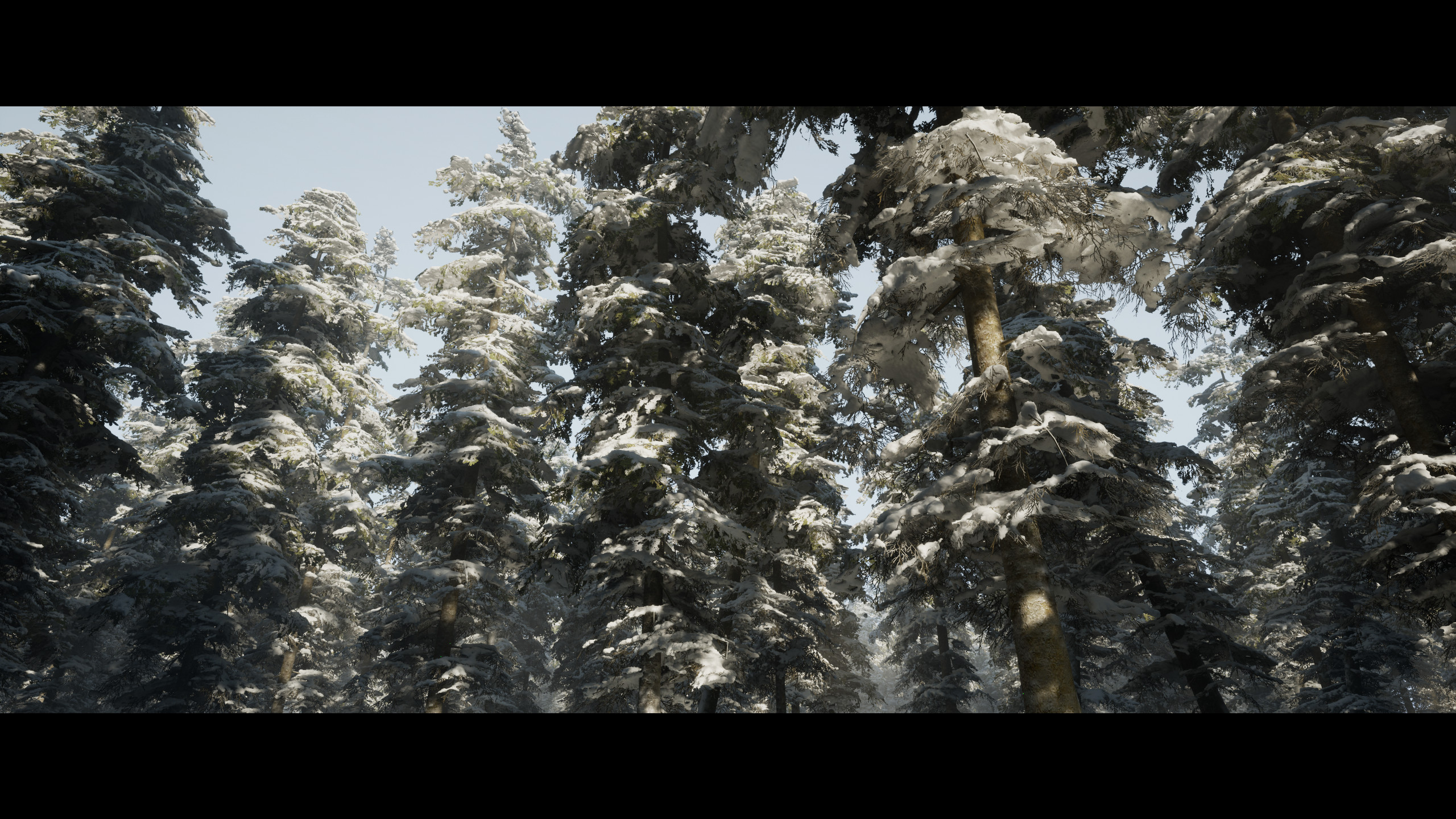 B.O.W.👁‍🗨 - 【UE5】Snow on tree in winter