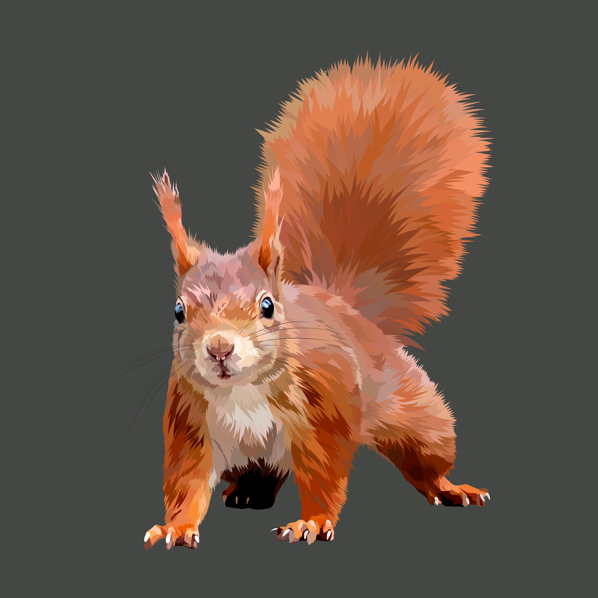 ArtStation - squirrel