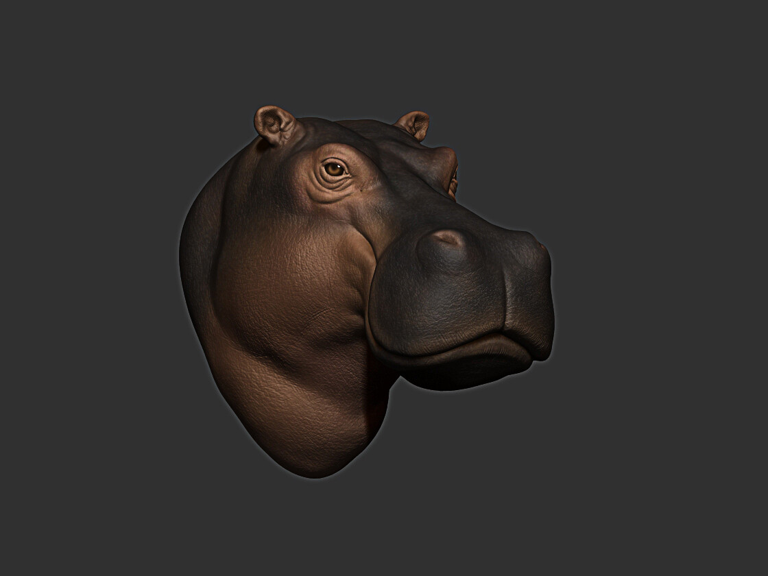 ArtStation - Hippo Head