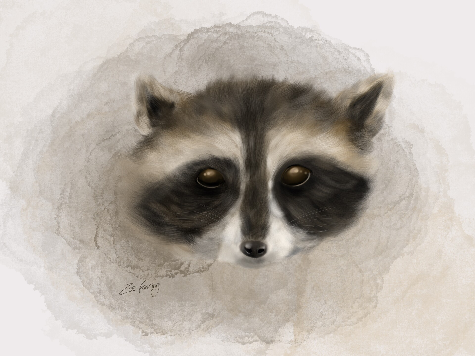 ArtStation - Raccoon