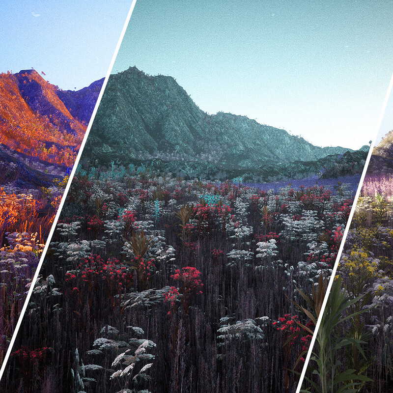 PackDev Interactive - Game Development Studio - Portfolio