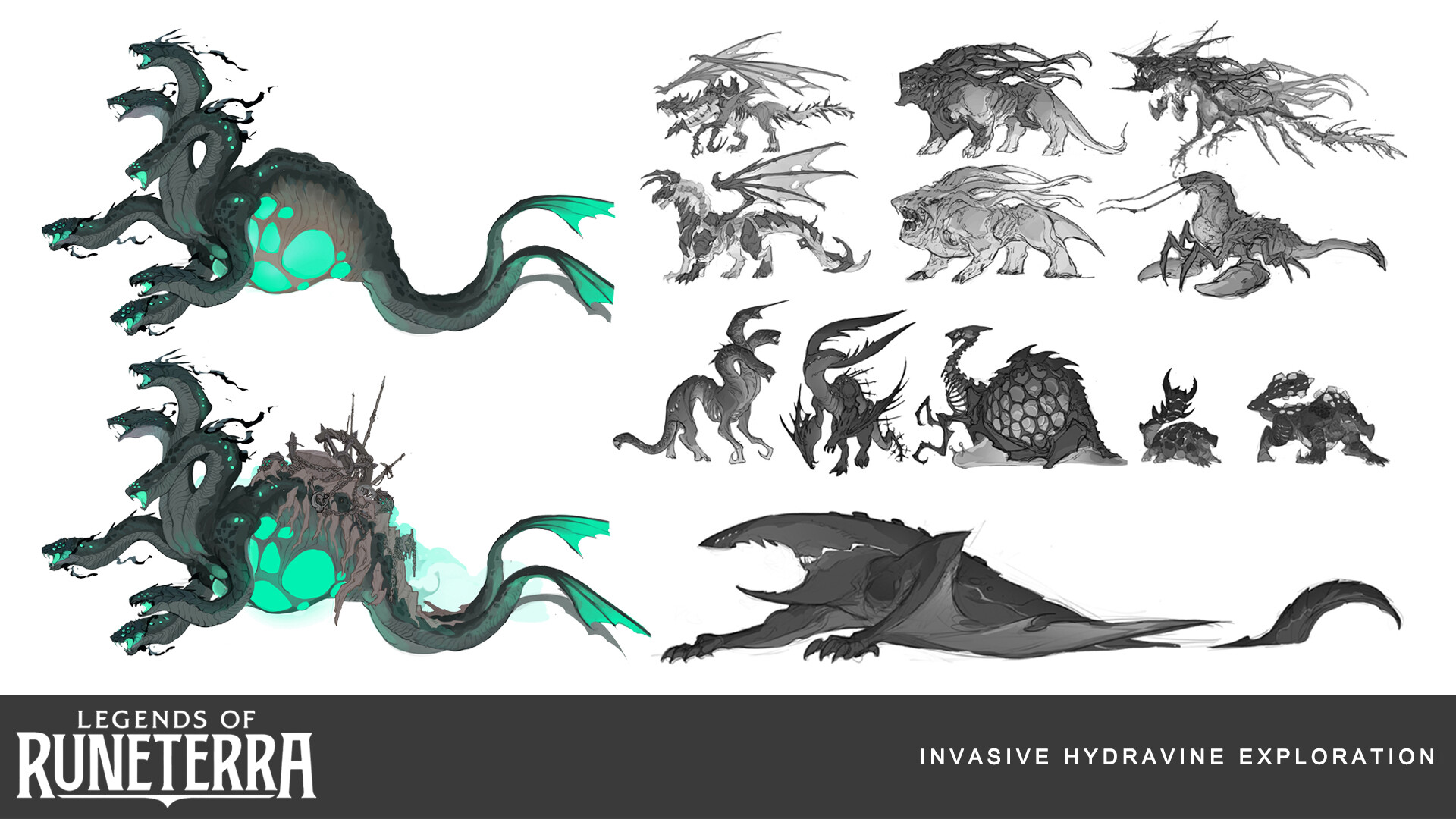 invasive hydravine