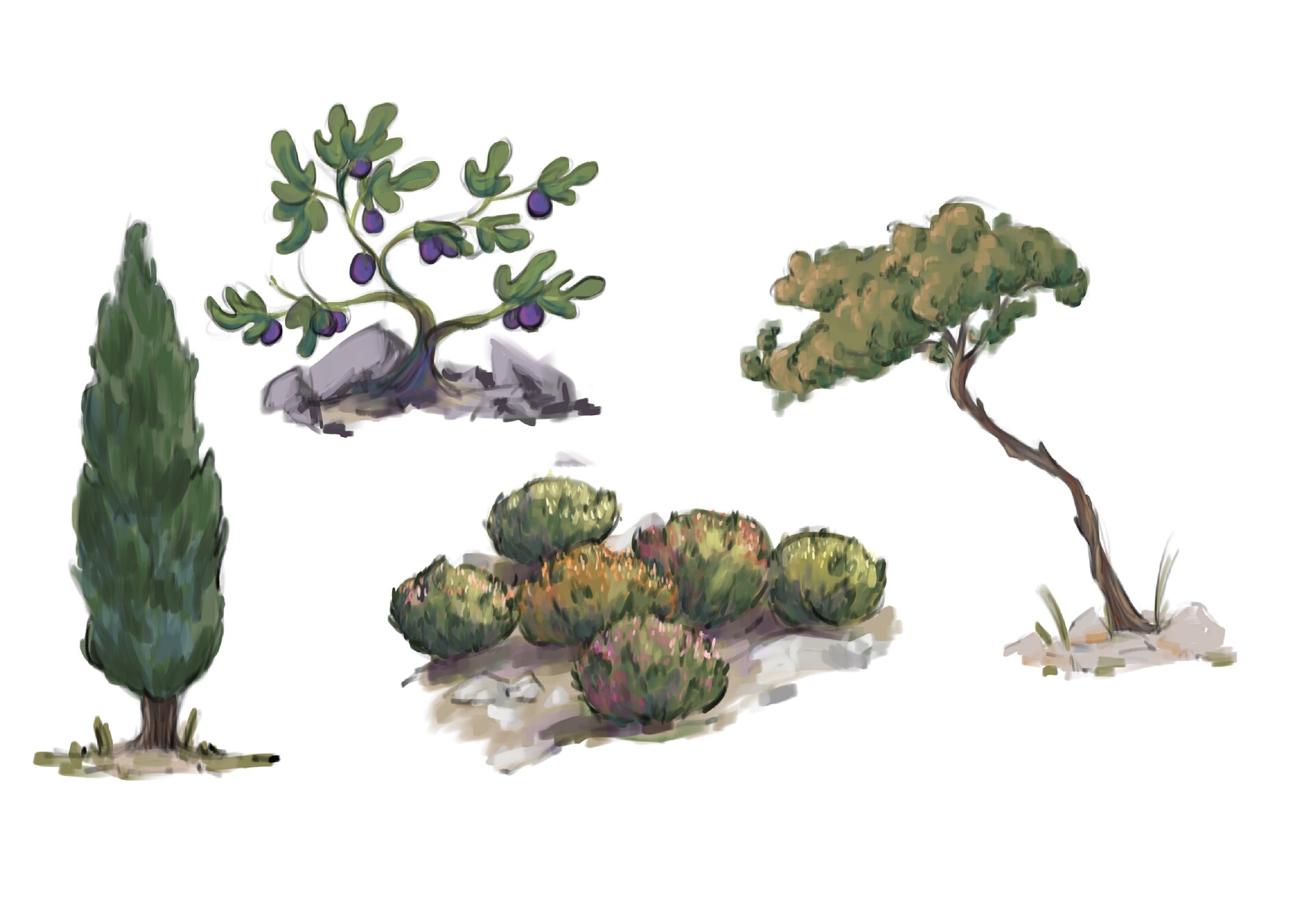 ArtStation - Circe Project - Plants and Props