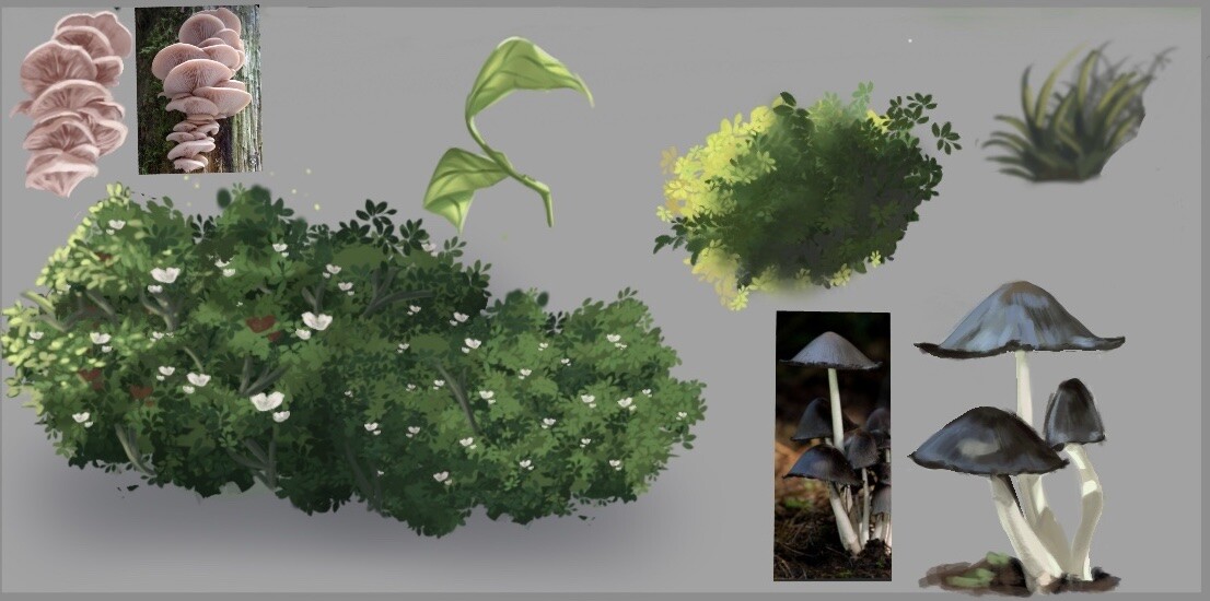 ArtStation - Plant painting studies
