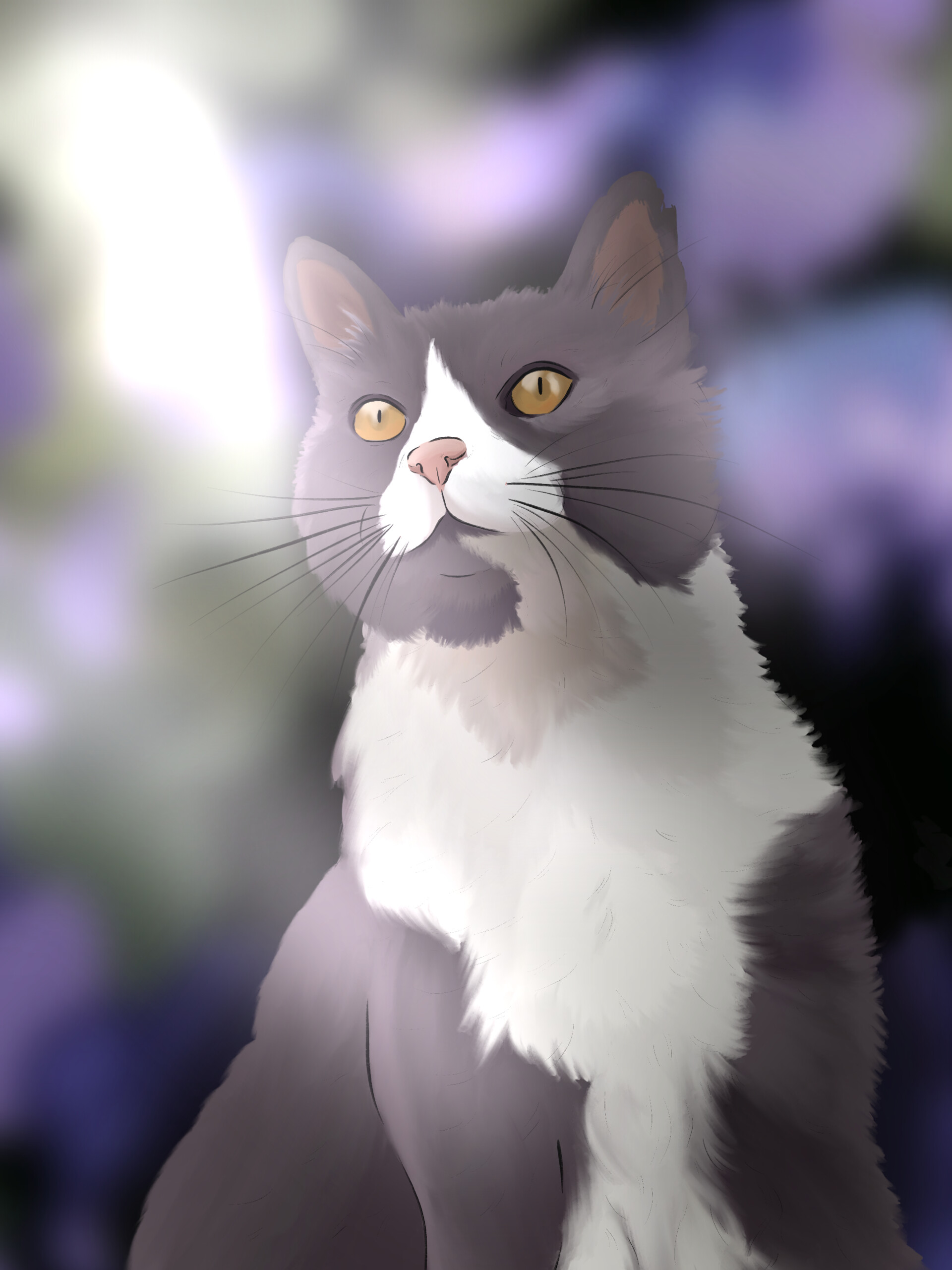 ArtStation - Pet Commission- Shadow