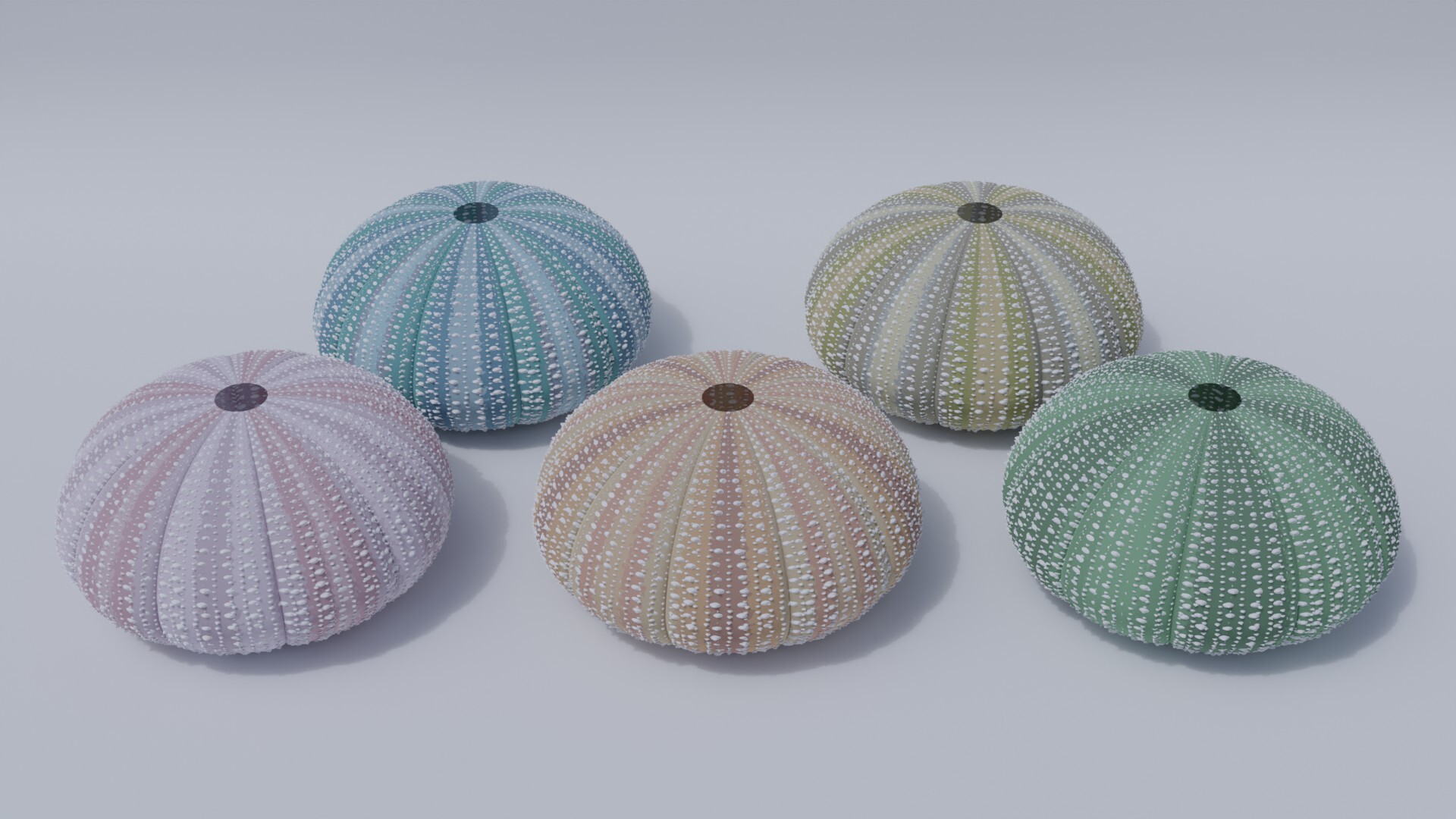 ArtStation - Sea Urchin Shells