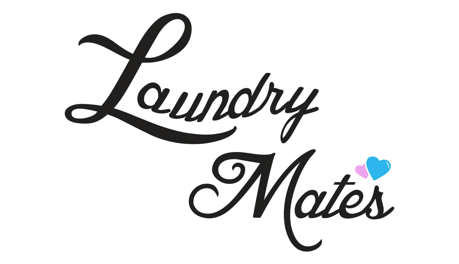 Michael Anselmi - Laundry Mates App
