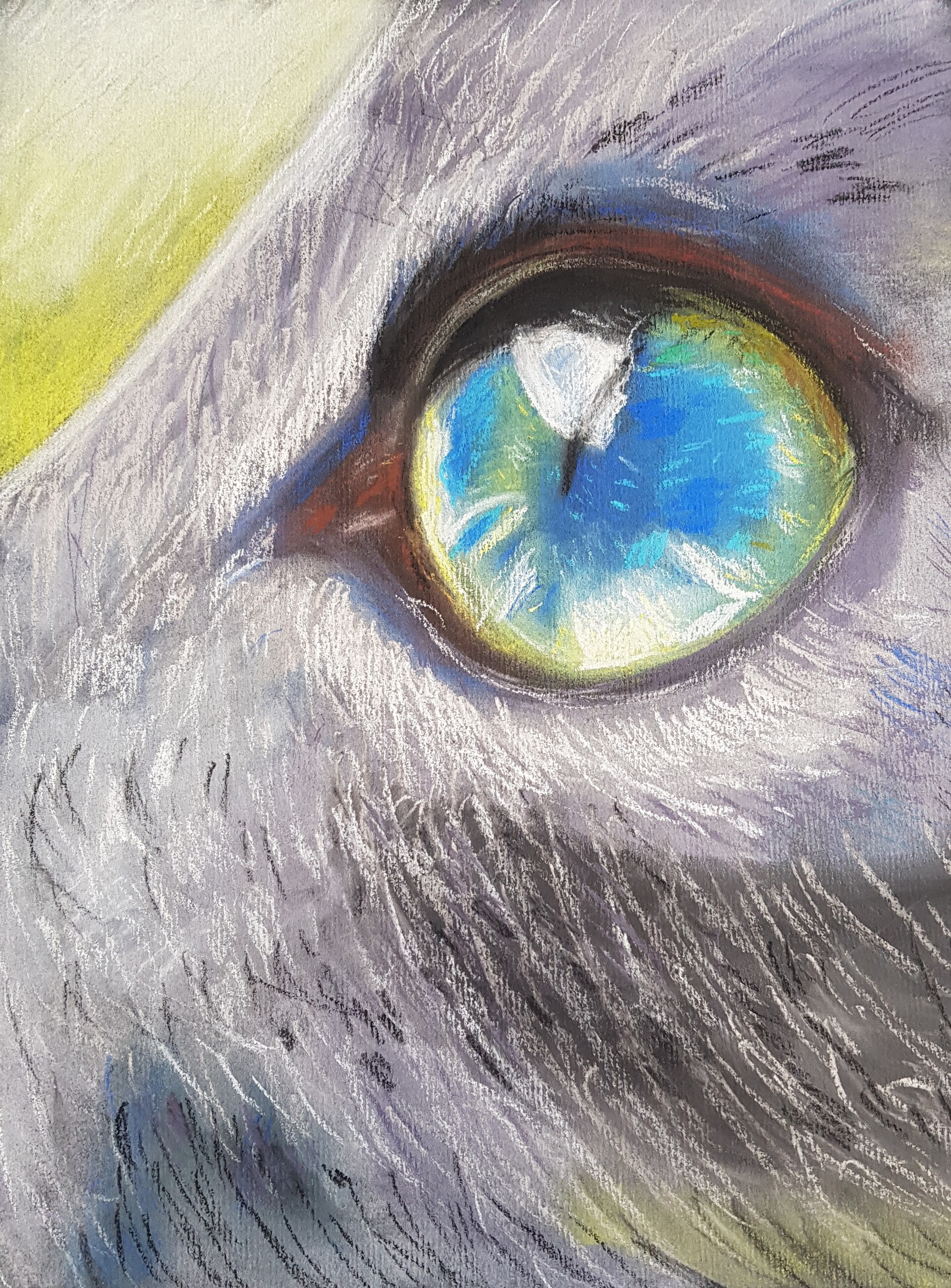 ArtStation - Pastel cat eye