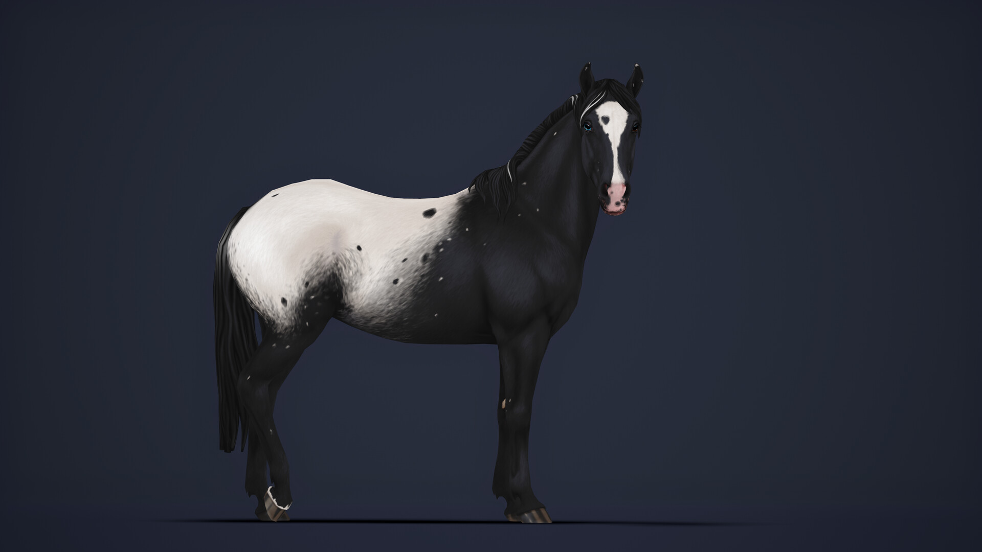 ArtStation - Appaloosa - SSO