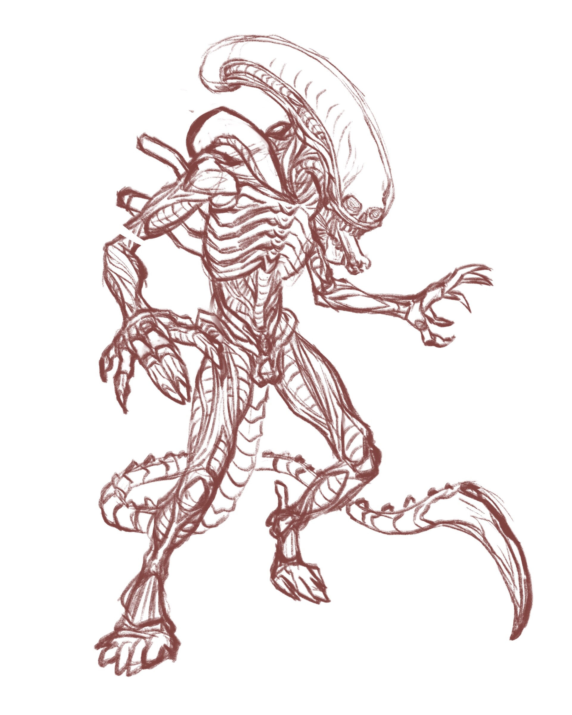 predalien coloring pages