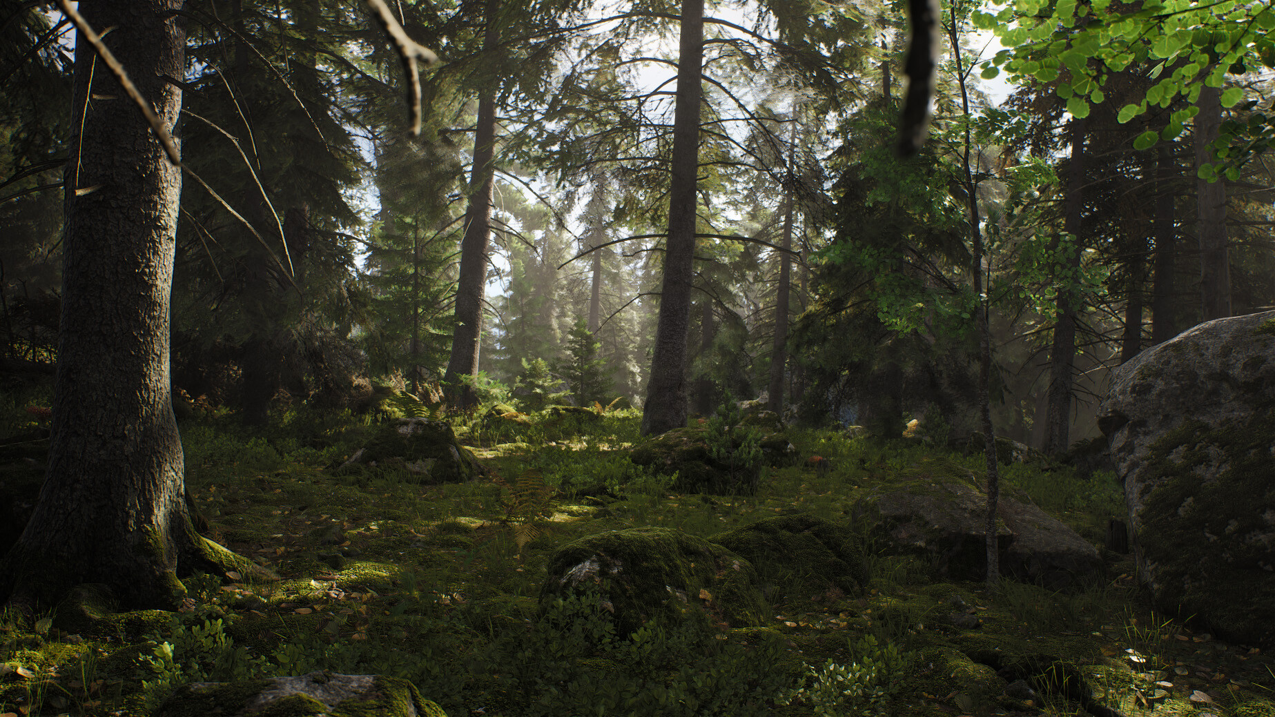 robert-berg-cropped-0029-27.jpg (1847×1039)-花瓣网