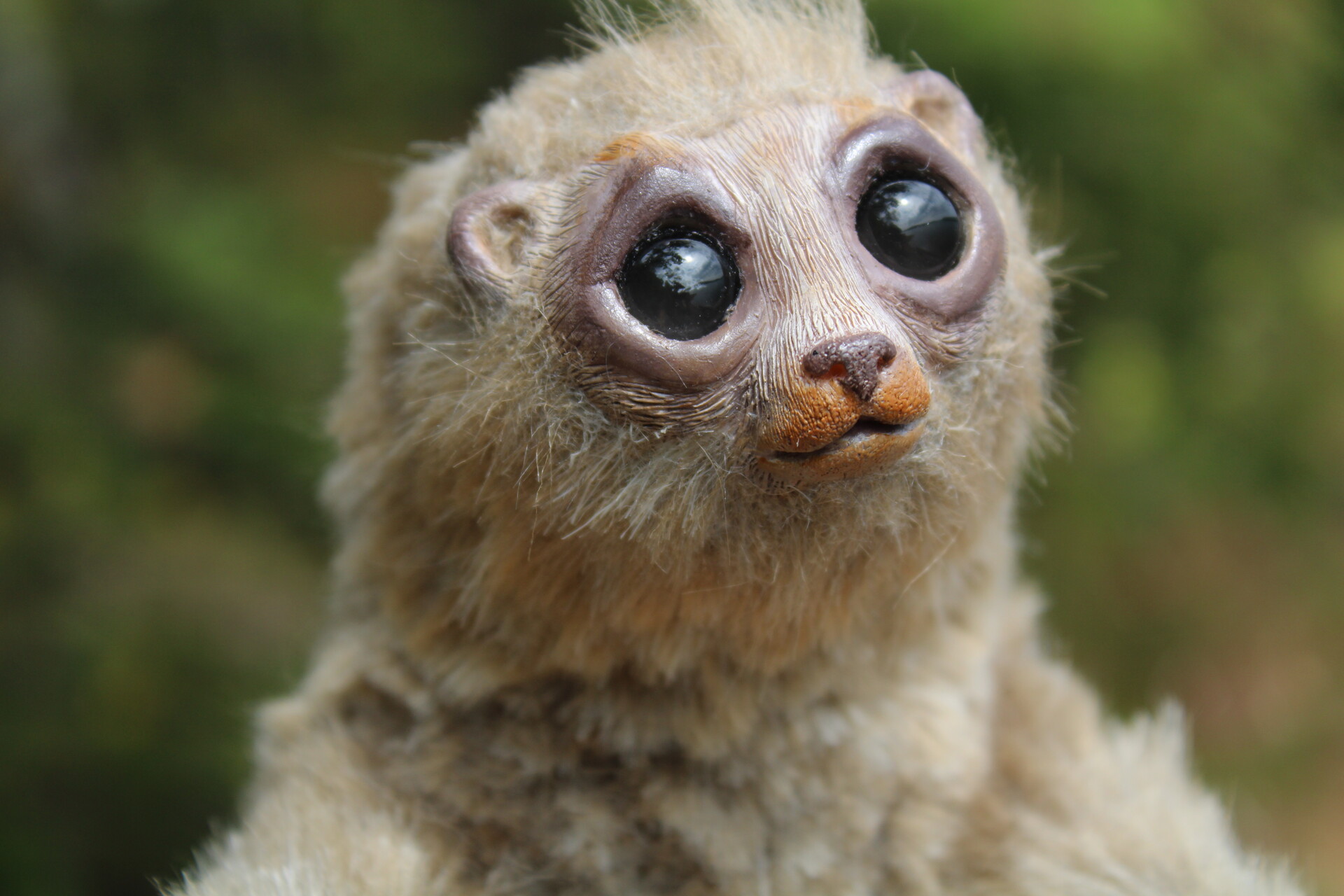 ArtStation - Slow Loris Poseable Art Doll